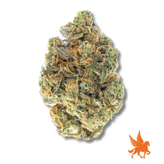 Dispensary Pegasus Michigan | Jackson Near Me Cannabis